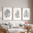 Black White Monstera Palm Tropical Bedroom Living Room Poster Prints ...