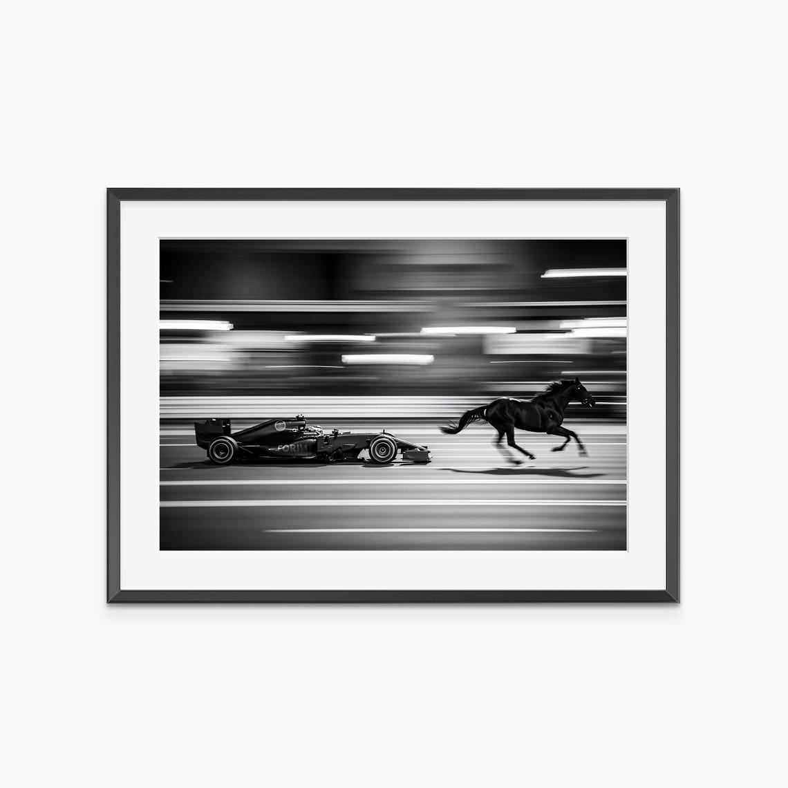 Black White Photography Museum Quality Horse Fine Wall Art, Unframed ...