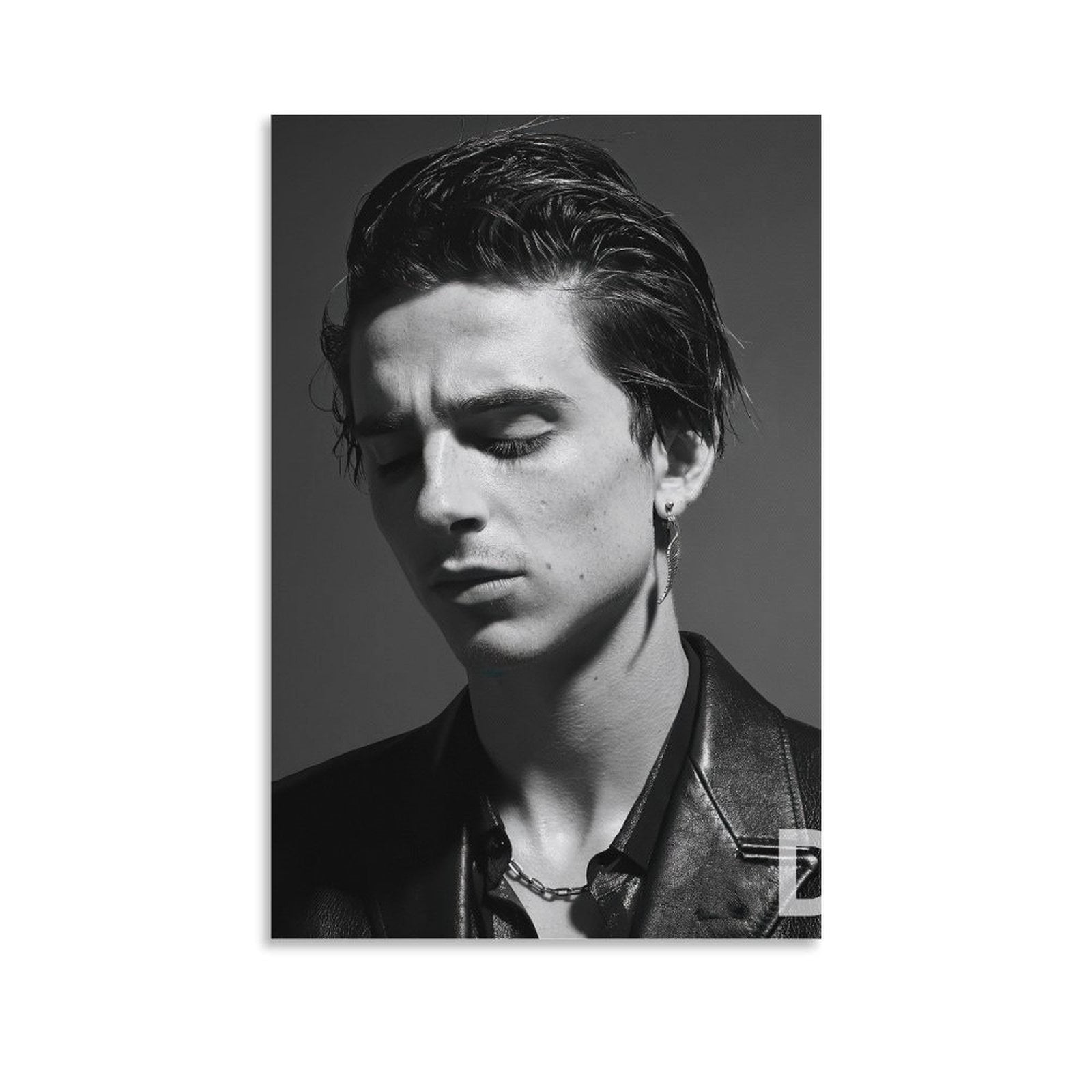Black White Post - American Actor Timothée Chalamet Poster Cool ...