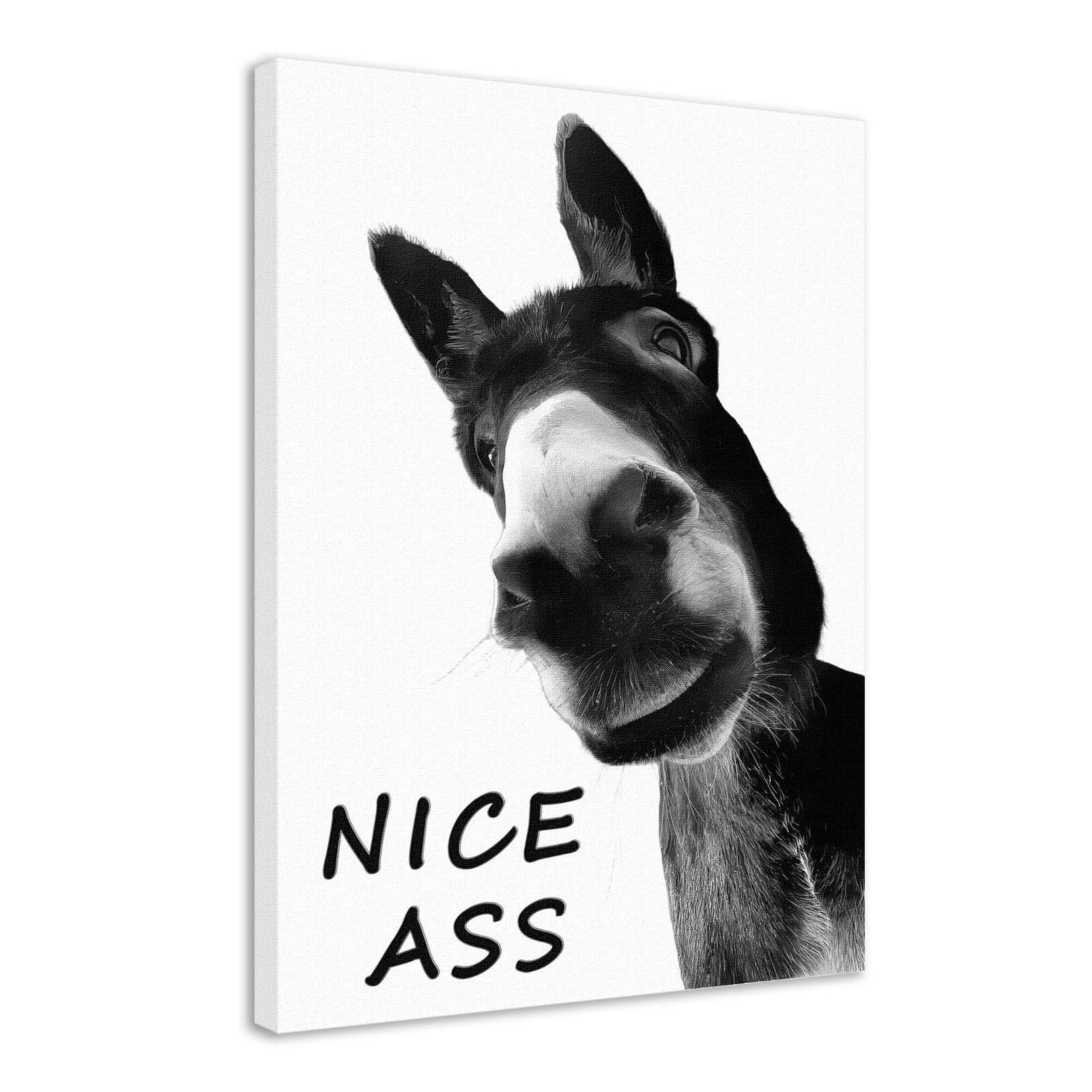 Black and White Poster Bathroom Wall Art Décor Funny NICE ASS Canvas ...