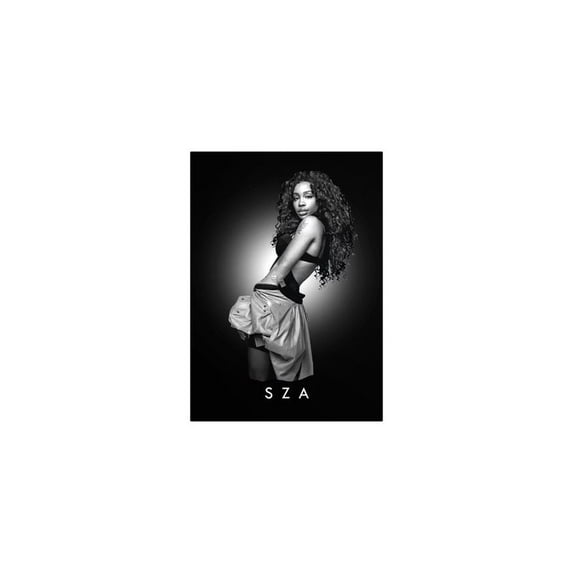 Black&White Poster- SZA Poster, One Sheet Wall Size 24''x36''-Gategoo ...