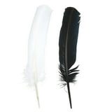Black & White Quill Feather Mix by Creatology™ 20pc - Walmart.com