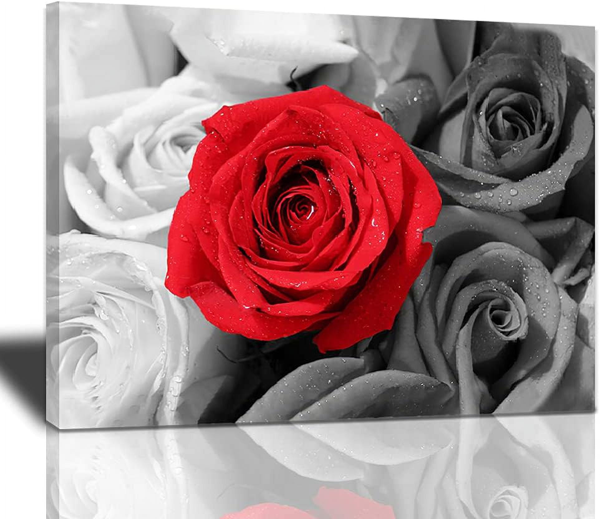 Black White And Red Rose Canvas Wall Art, Abstract Rose Flowers Picture ...