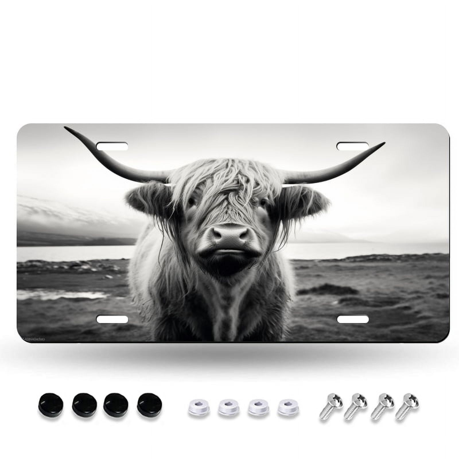 Black and White Scottish Highland Cow Beautiful Drawing License Plate ...