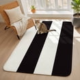 Black and White Stripe Pattern Area Rugs for Living Room 5x7, Simple ...