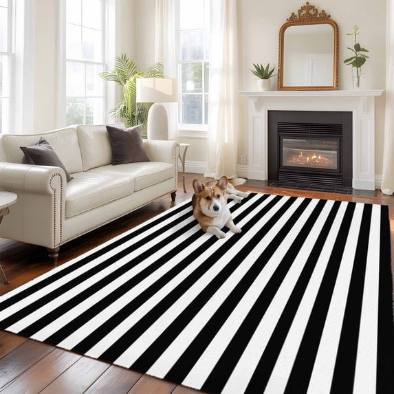 Black and White Stripes Washable Area Rug 6x9 Geometric Modern ...
