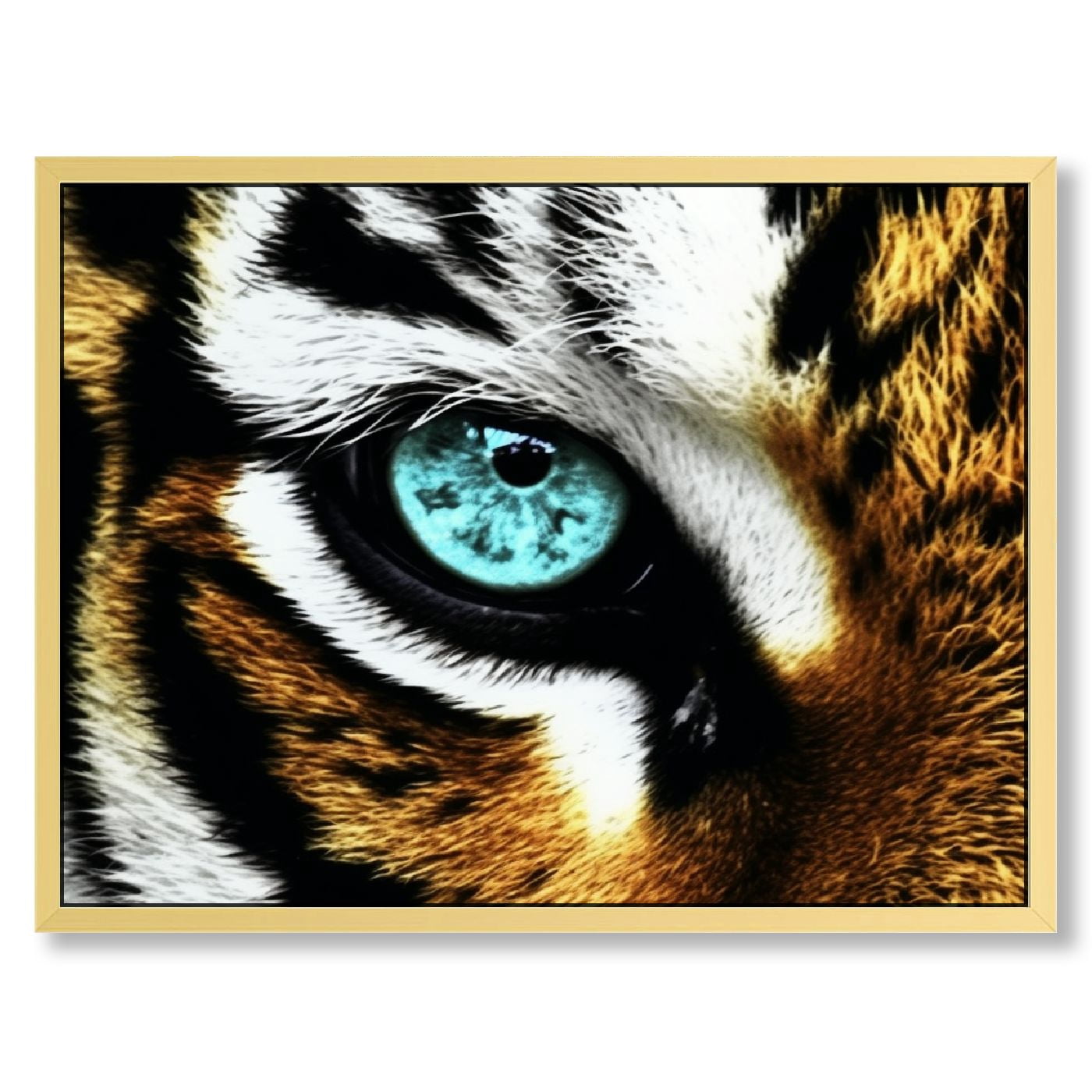 Black and White Tiger with Teal Blue Eyes Picture Wildlife Animals ...