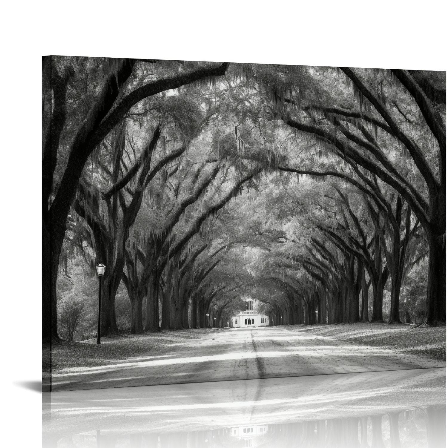 Black and White Tree Wall Art for Home Wall Decor Modern Nature Picture ...