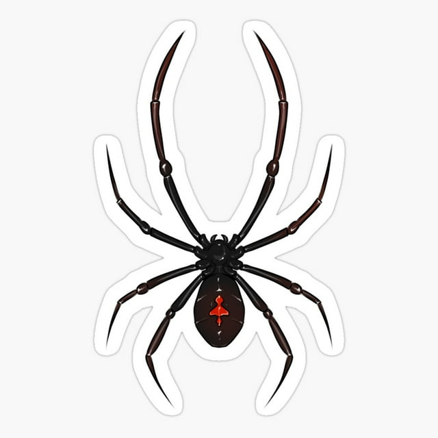 Black Widow Spider Sticker Phone Decal Water Bottle Stickers Car Decals ...