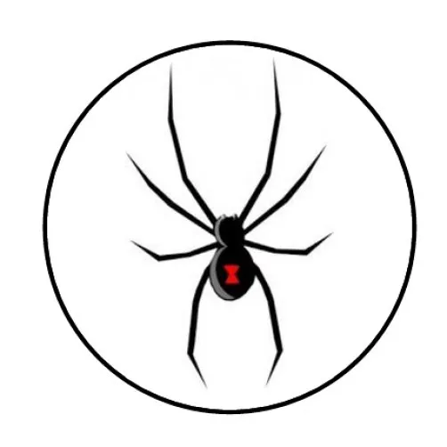 Black Widow Spider Stickers Phone Decal Water Bottle Stickers Car ...