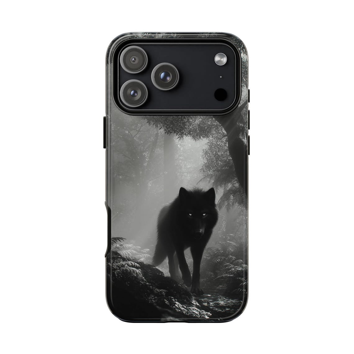 Black Wolf Misty Gray Forest Wilderness Wildlife Predator Foggy Woods ...