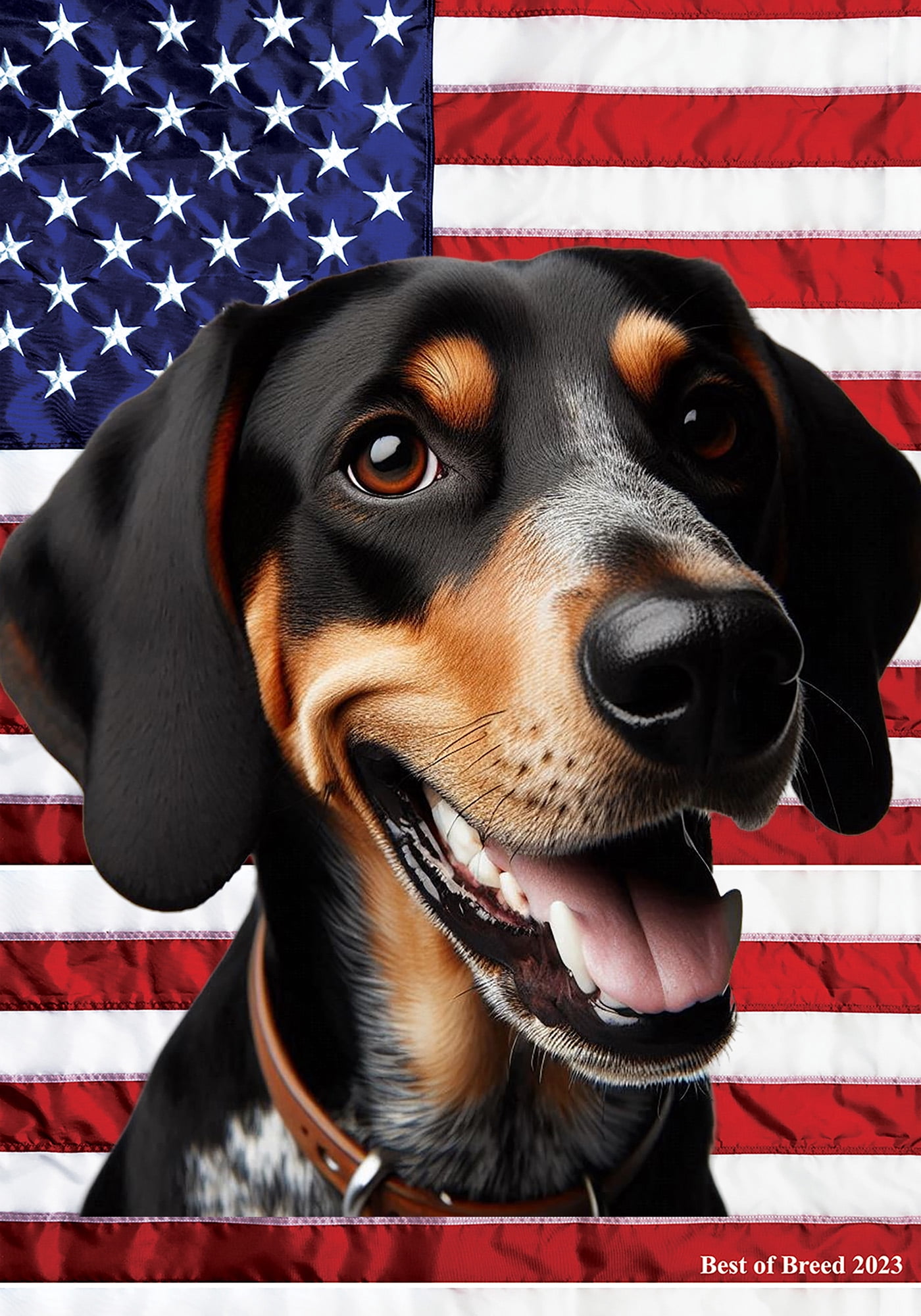 Black and Tan Coonhound - Best of Breed All-American Patriotic III ...