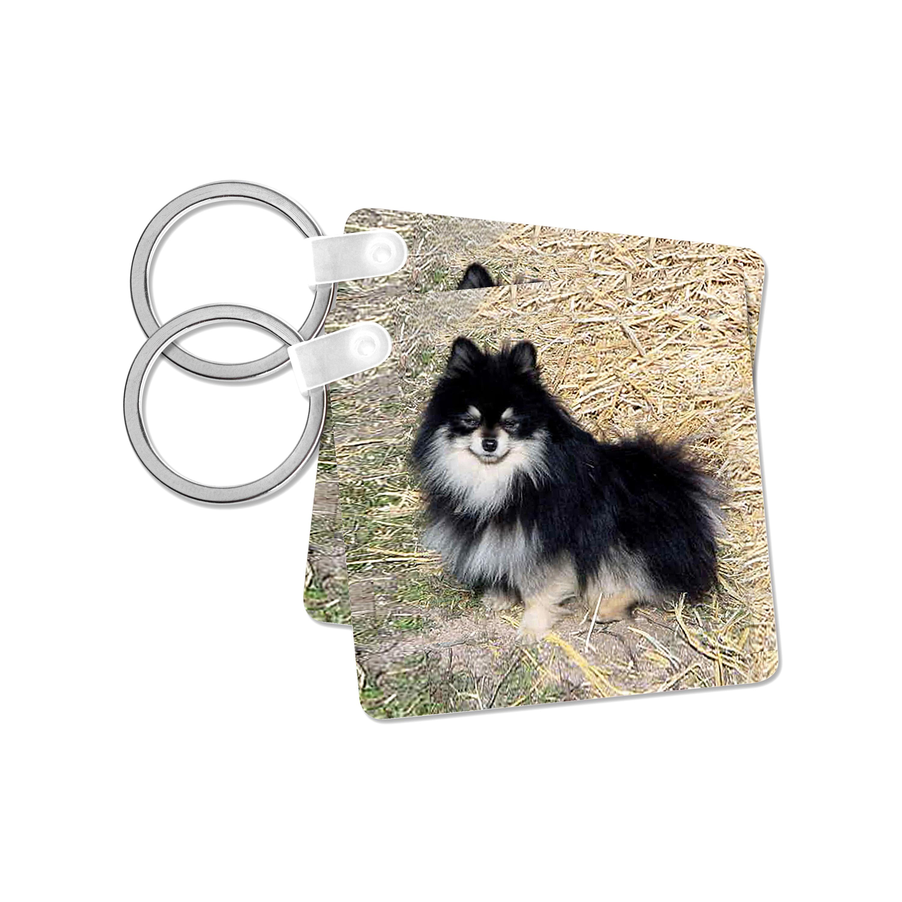 3dRose, Black and Tan Pomeranian, set of 2 Key Chains - Walmart.com