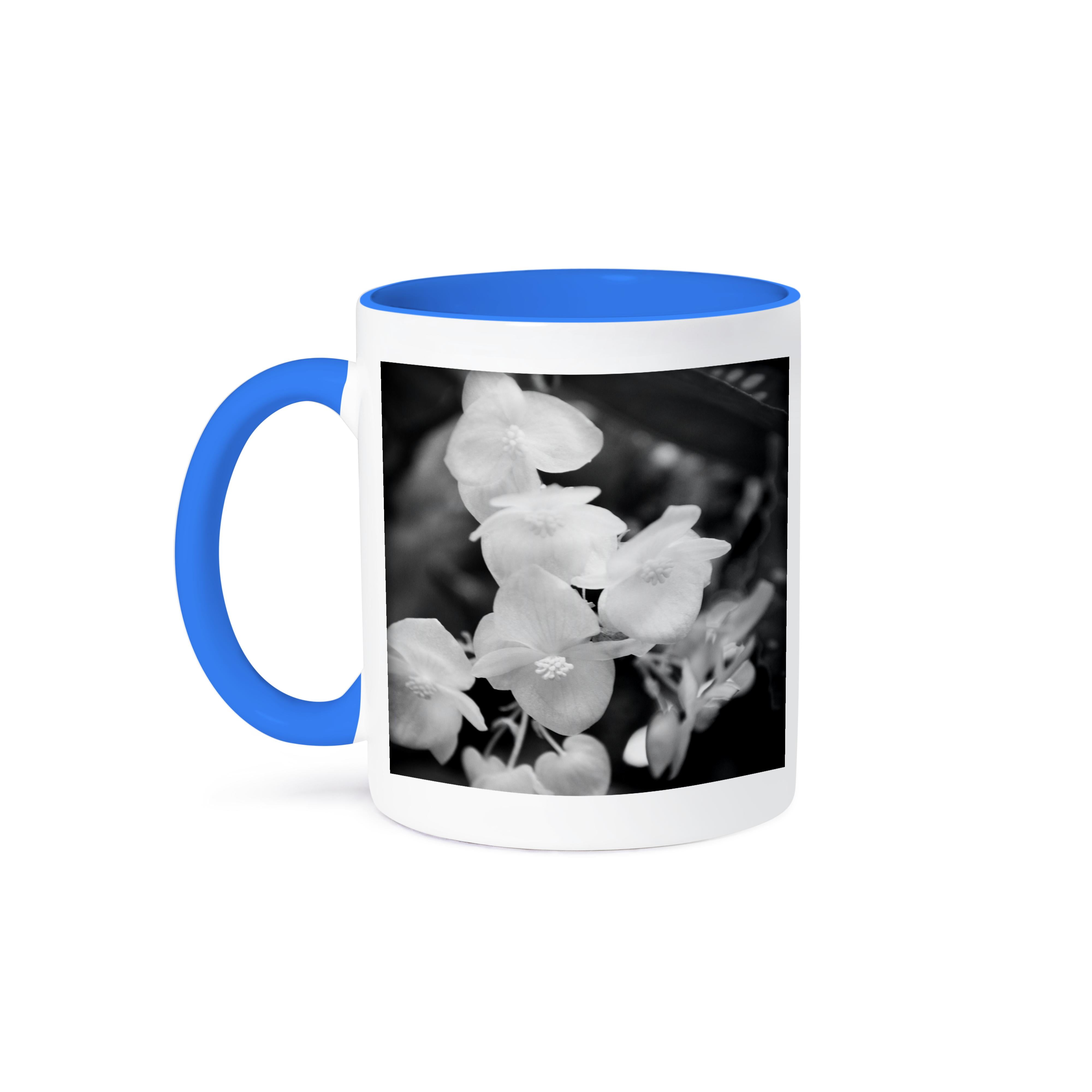 3dRose, Black and White Angel Wings is a photo of beautiful garden ...