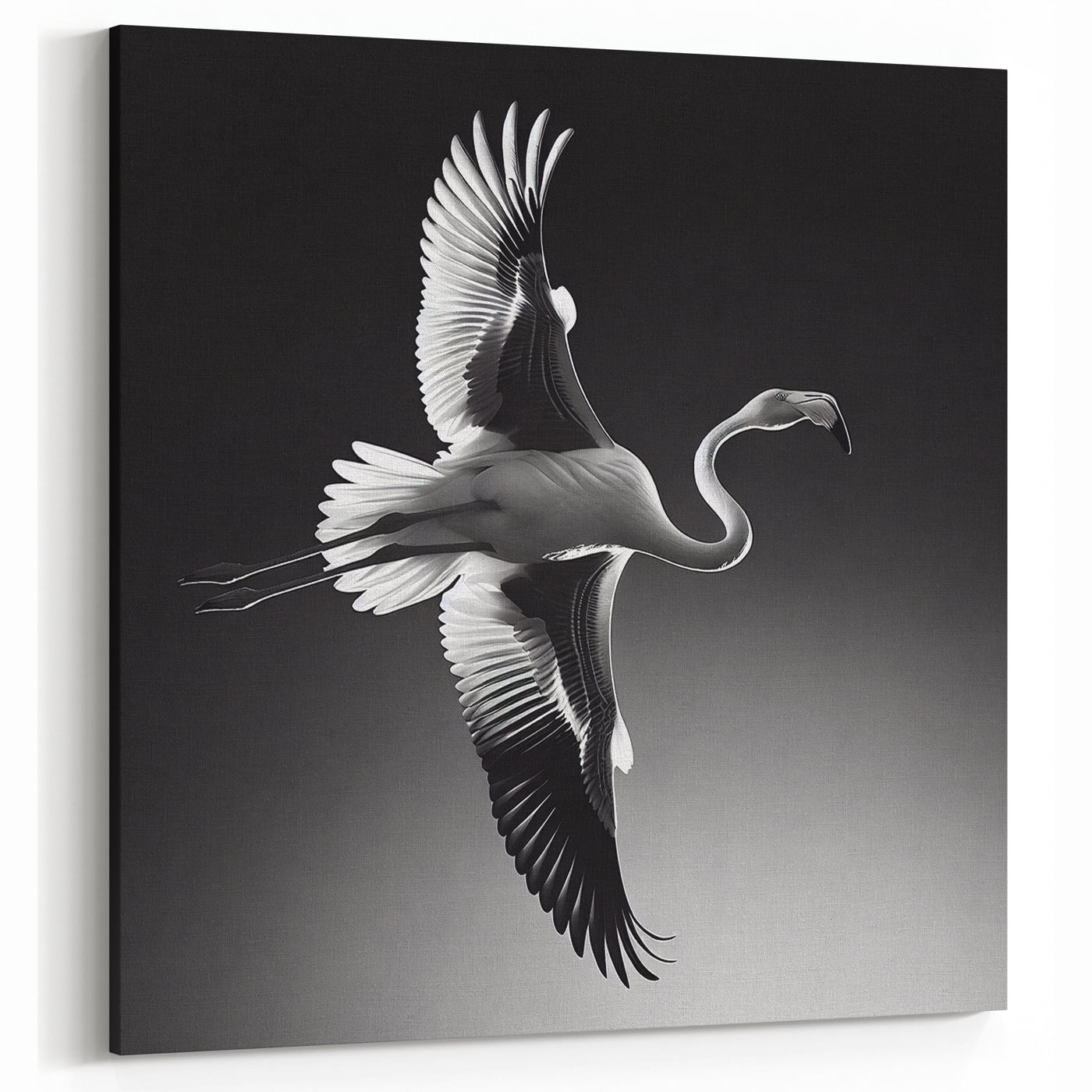 Black and White Bird Flight Print - Dramatic Wing Detail Nature Wall ...