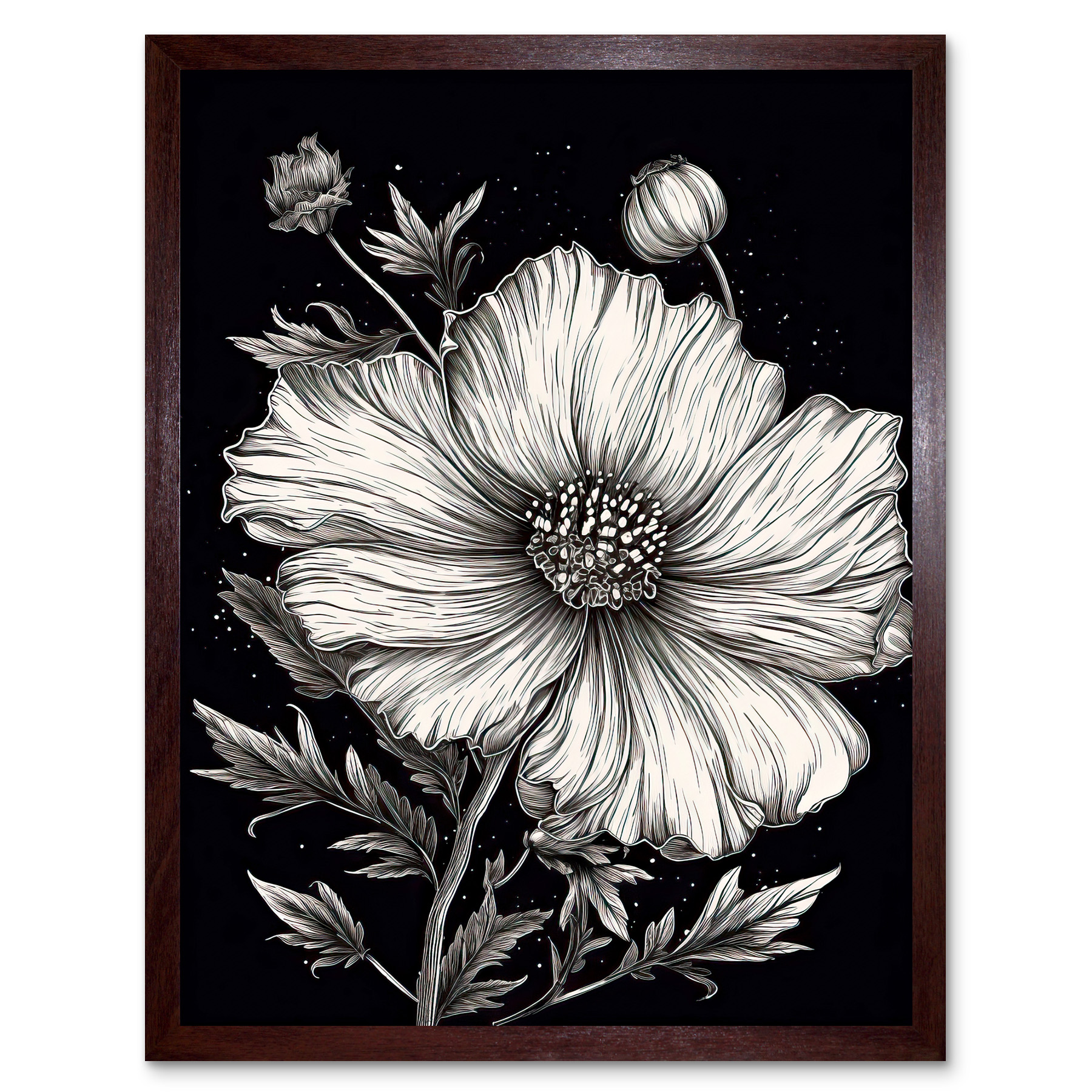 Black and White Cosmos Flower and Starry Night Sky Art Print Framed ...