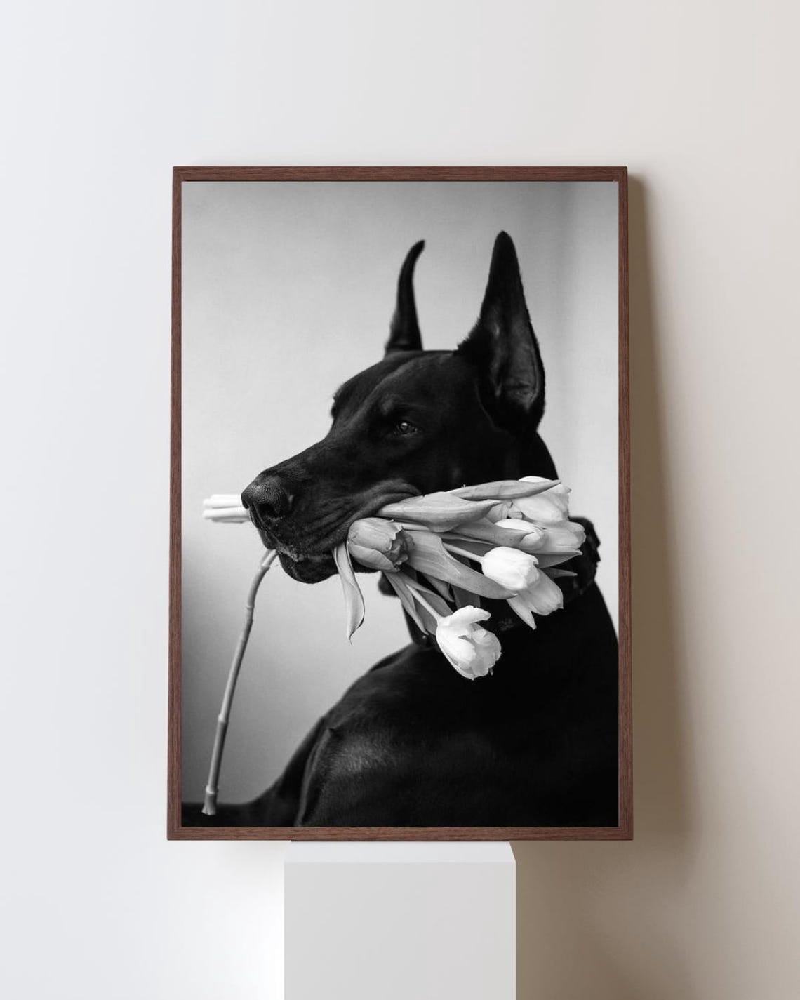 Black and White Doberman Elegant Dog Portrait with Tulips Minimalist ...