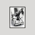 Black and White Fashion Detail Elegant High Heels and Lace Lingerie ...