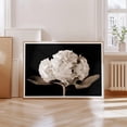 Black and White Floral Hydrangea Elegant Botanical Monochrome Bedroom ...