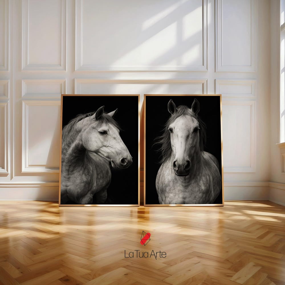 Black and White Horses Prints Animals Wall Art Set of 2 Set 2 Stretched ...