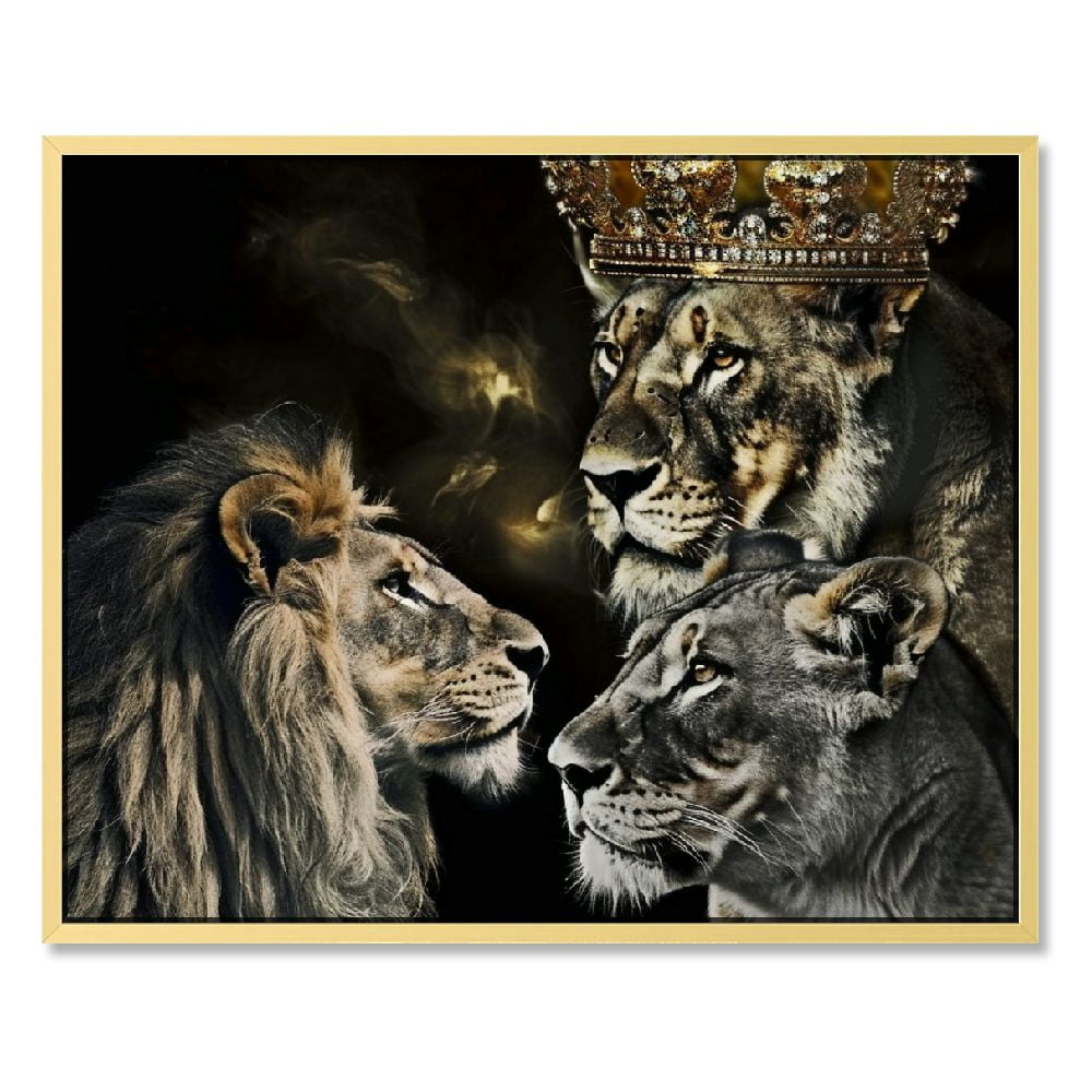 Black and White Lion Pictures and Queen Lion with Lion and African ...