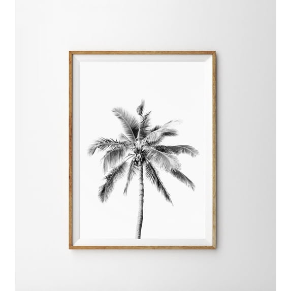 Black and White Palm Tree Art Tropical Boho Beach Modern Minimalist ...