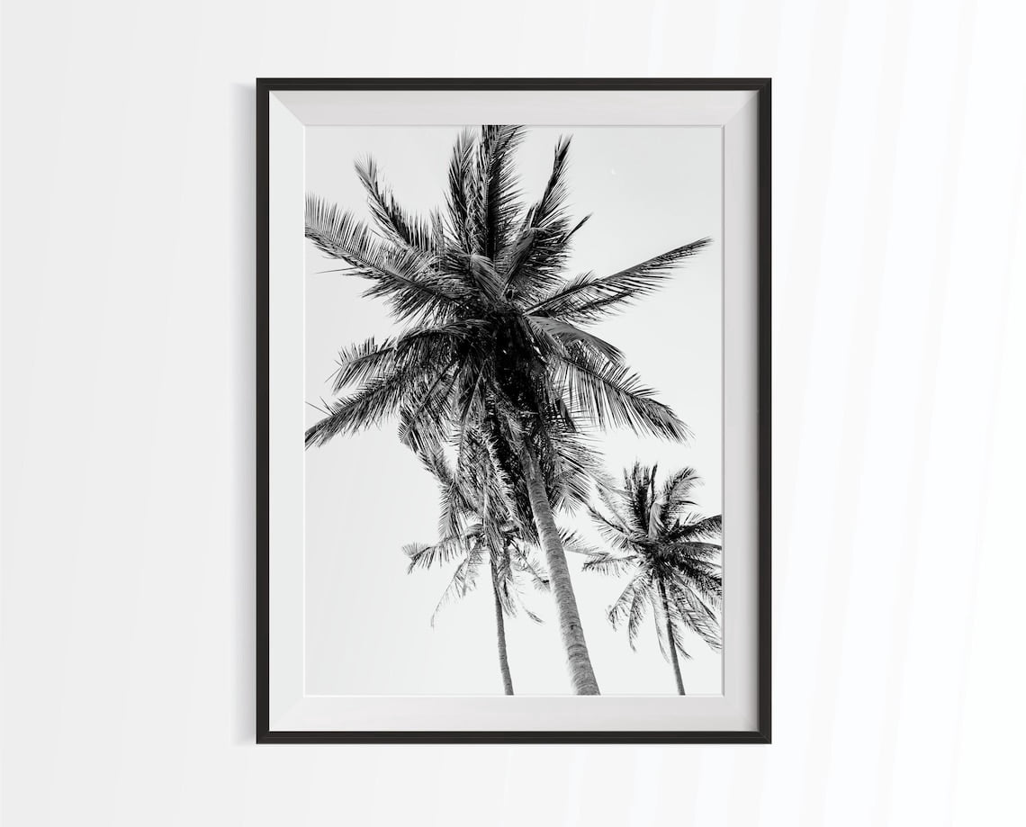 Black and White Palm tree photography Poster bw beach tropical wall art ...