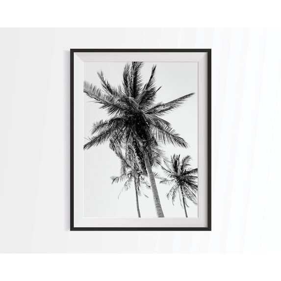 Black and White Palm tree photography Poster bw beach tropical wall art ...