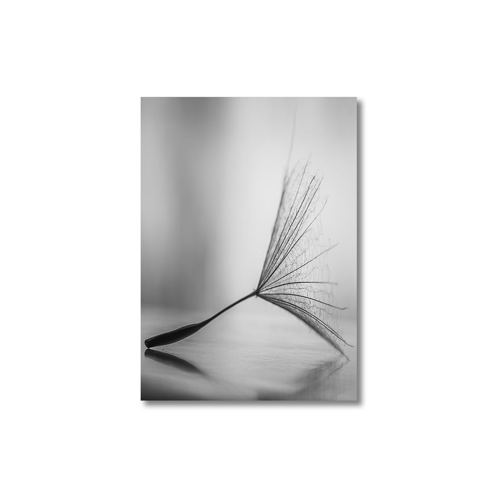 Black and White Wall Art Prints Set of 3, Dandelion Flower Canvas ...