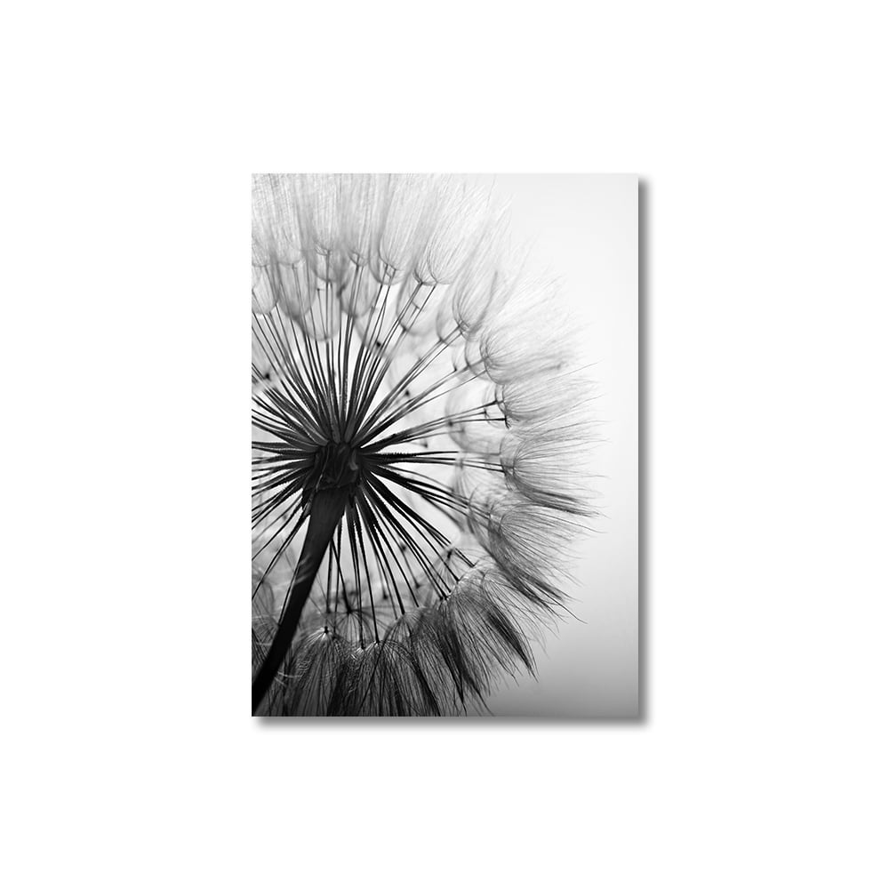 Black and White Wall Art Prints Set of 3, Dandelion Flower Canvas ...
