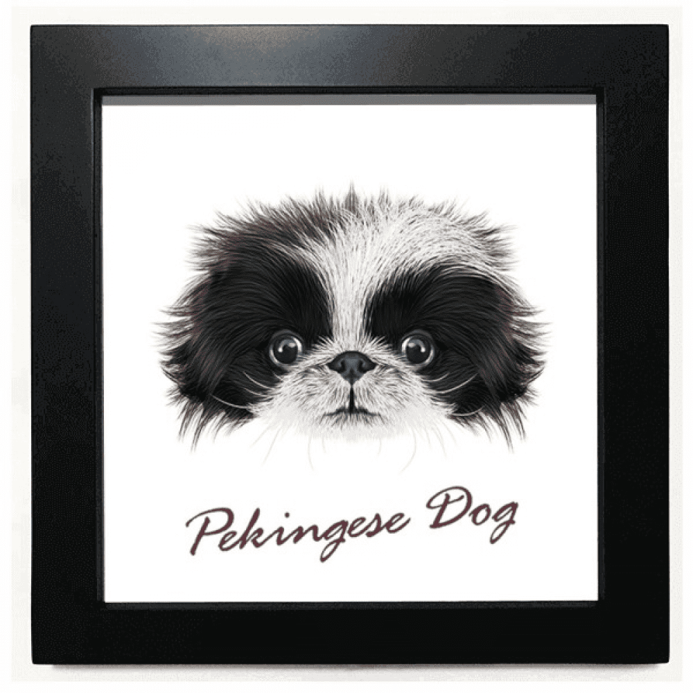 Black and white Cute Pekingese Dog Pet Animal Black Square Frame ...