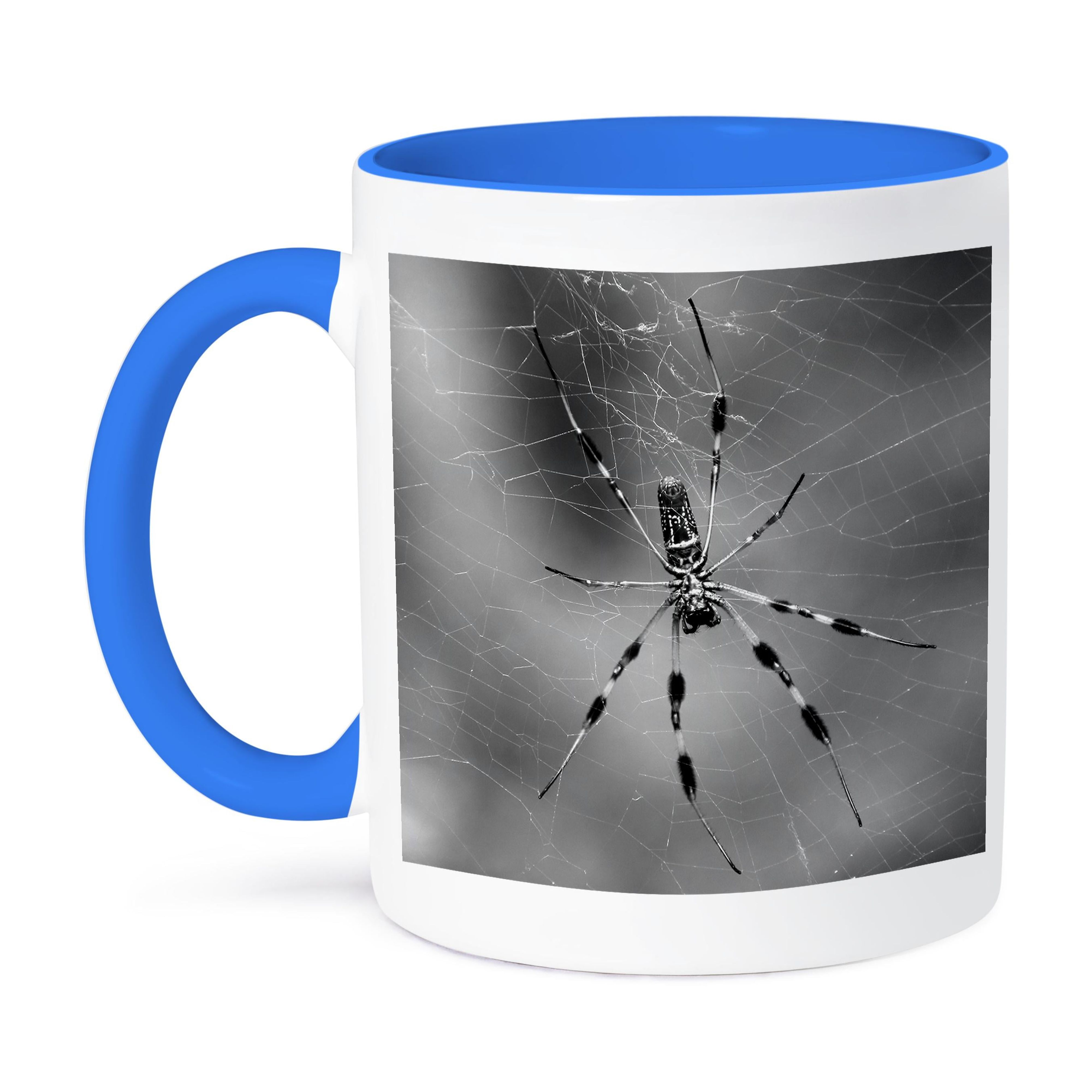 3dRose, Black and white photograph of a Banana Spider hanging out in ...