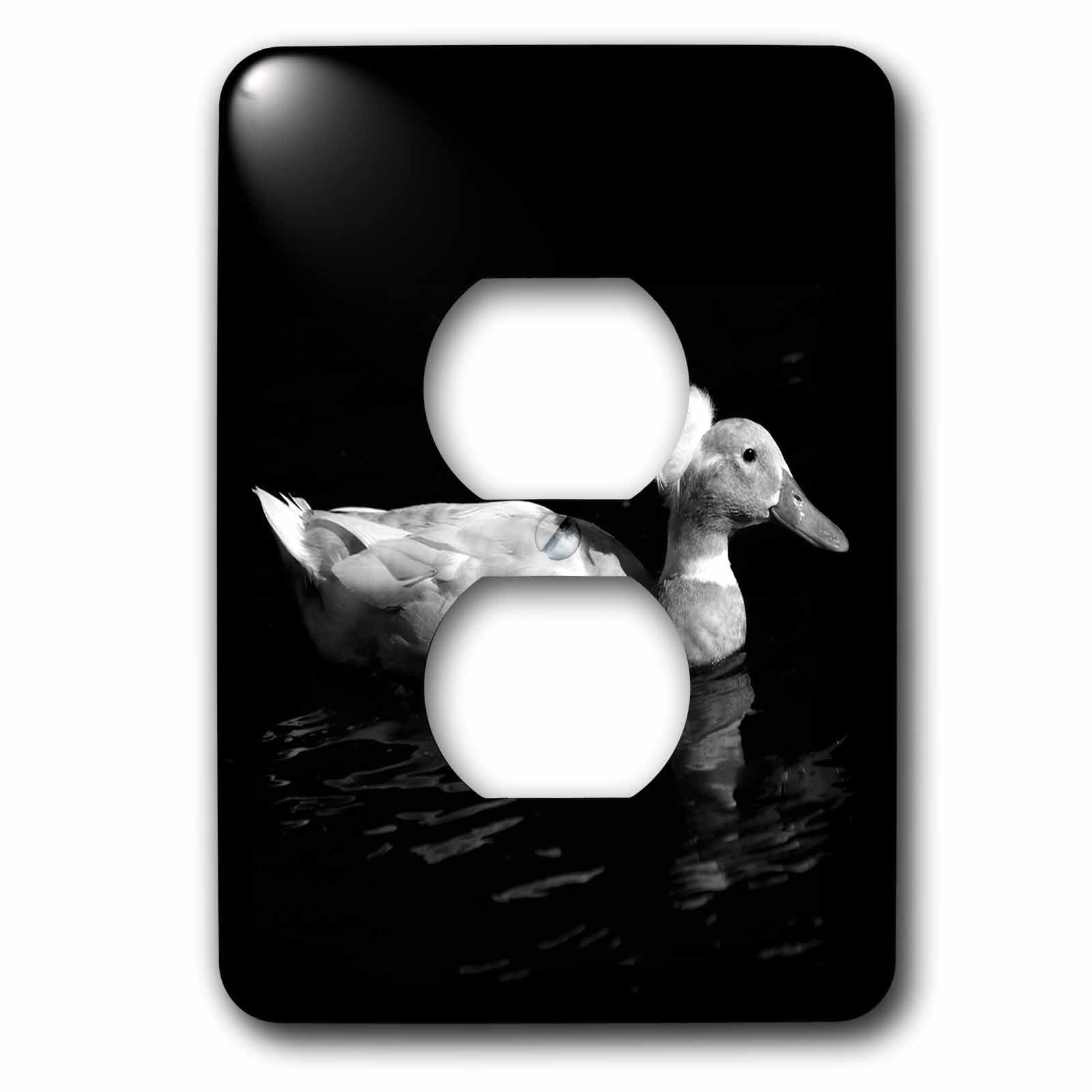 3dRose, Black and white photograph of a crested duck swimming in a ...