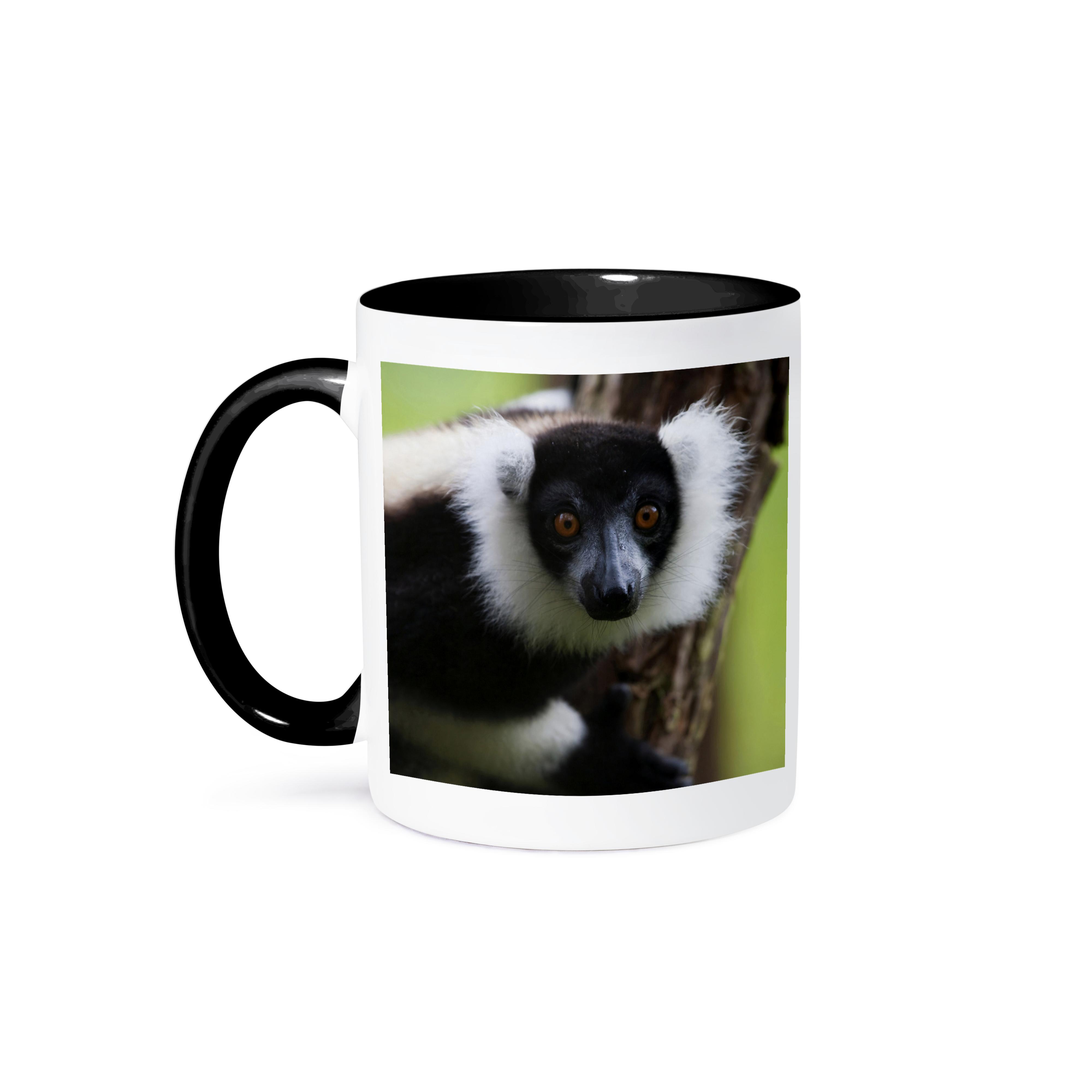 3dRose, Black and white ruffed lemur primate, Madagascar - AF24 KSU0006 ...