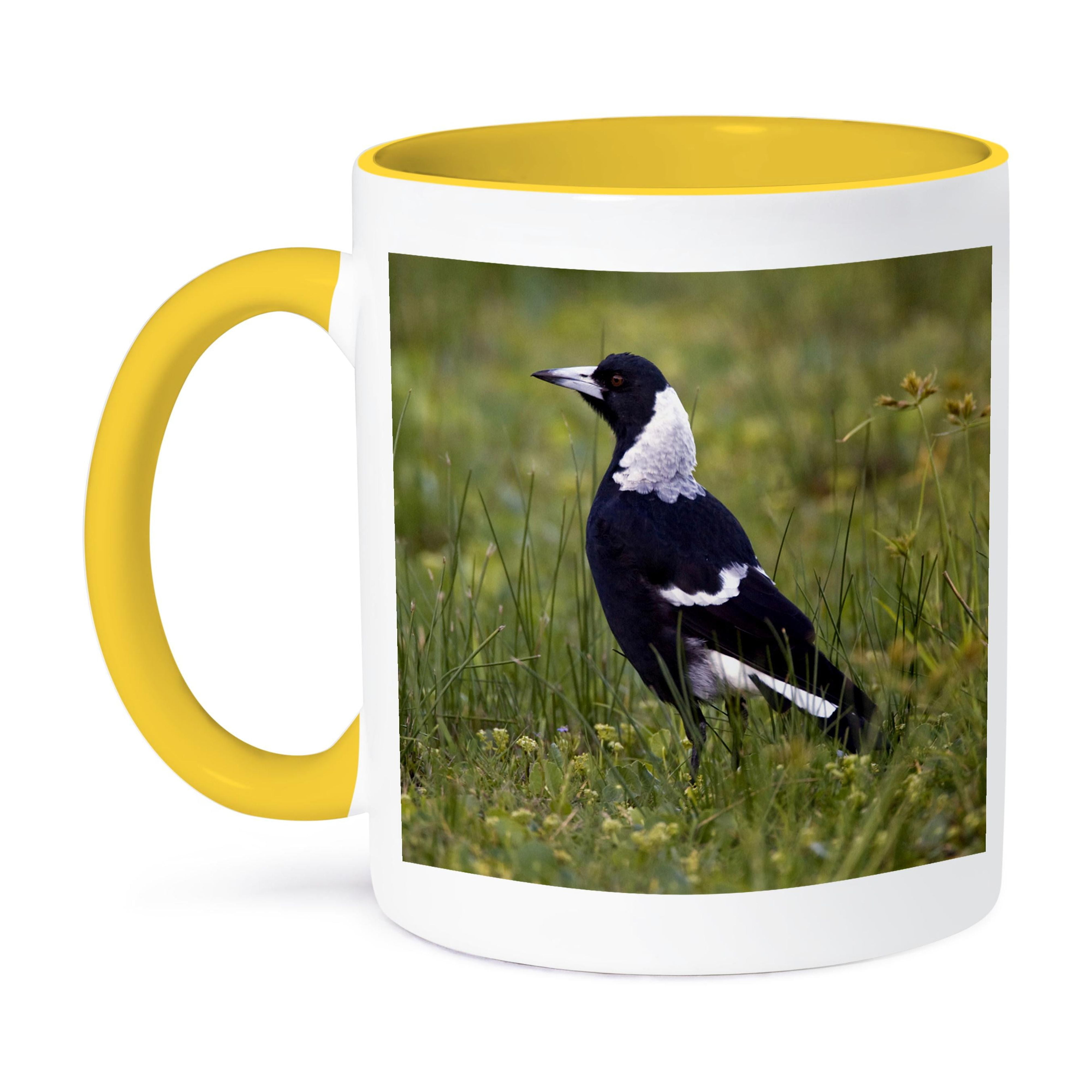 3dRose, Black-backed Magpie bird, Eastern Australia - NA02 DNO0611 ...