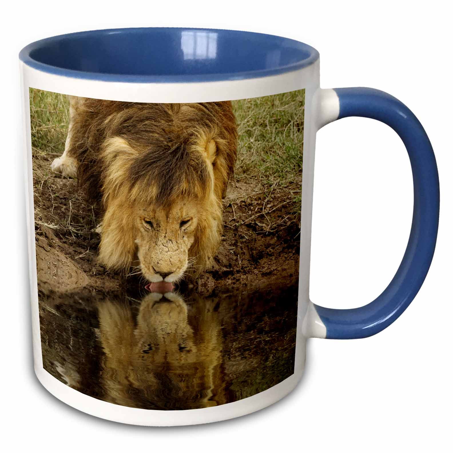 Black maned male Lion, reflection, Serengeti National Park, Tanzania ...