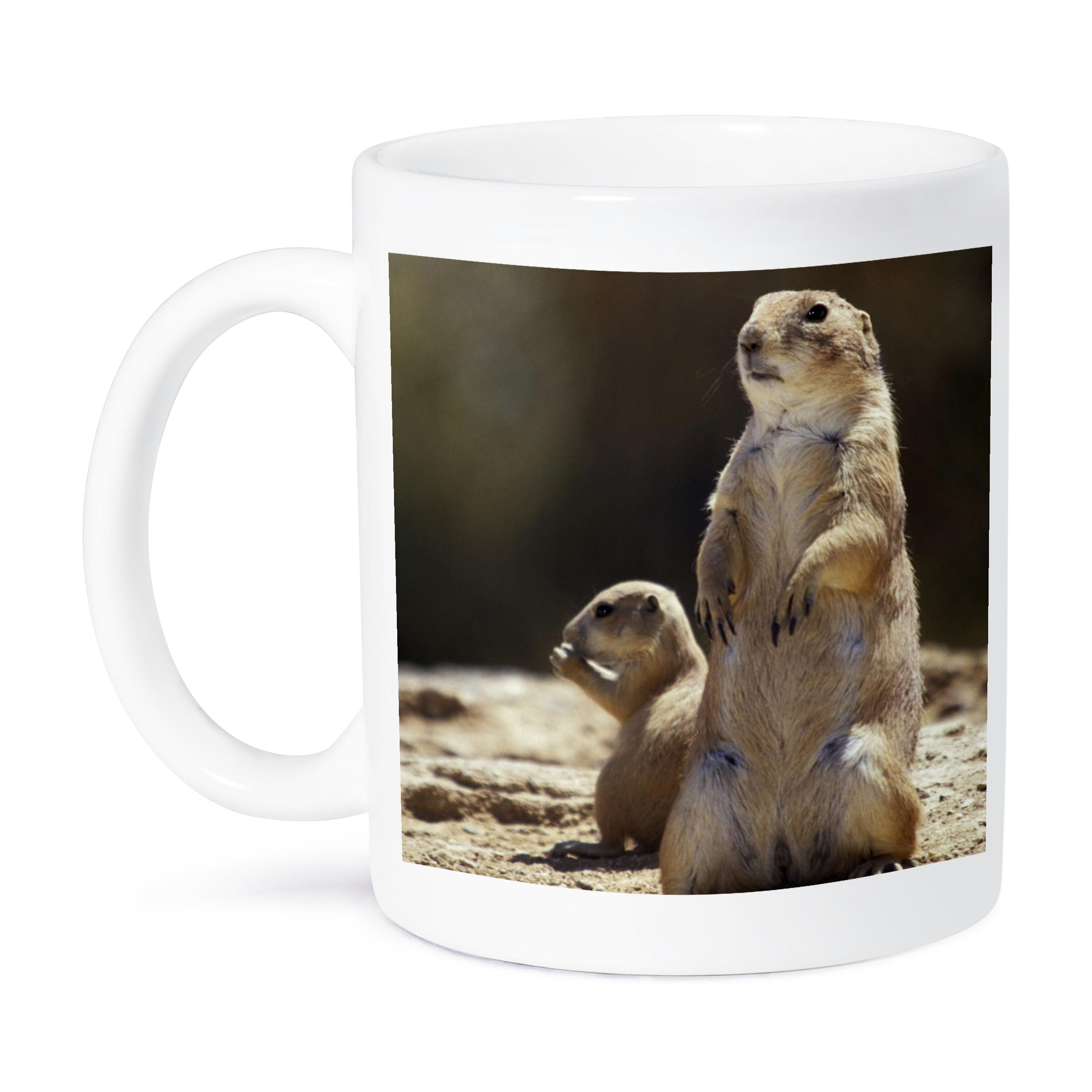 3dRose, Black-tailed Prairie dog wildlife, Arizona - US03 JME0034 ...