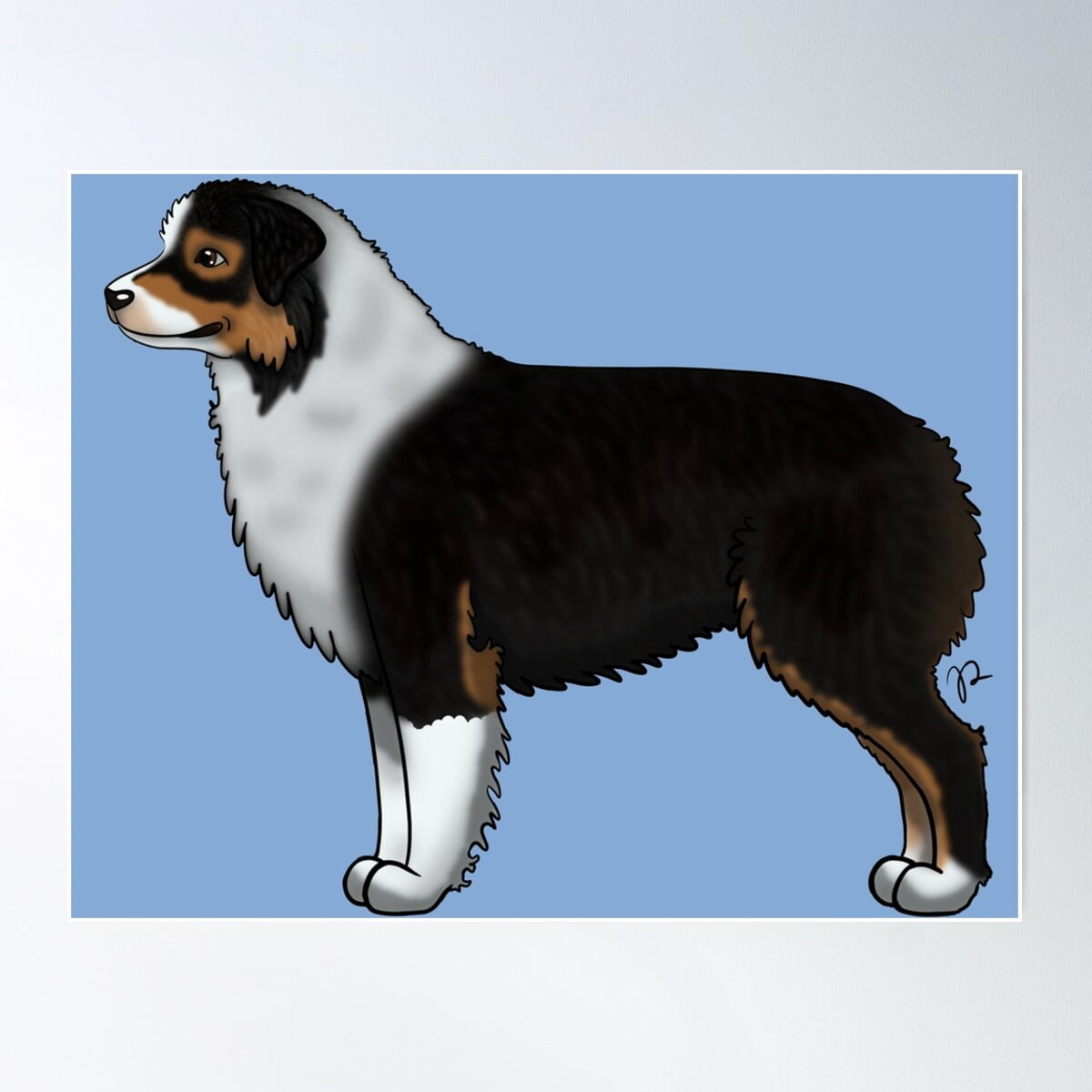 Black tri aussie Poster, 12x18 UNFRAMED - Walmart.com