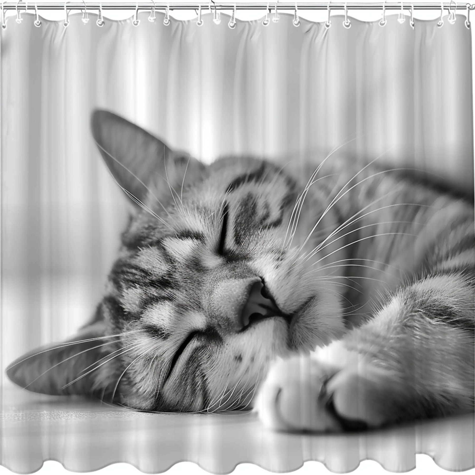 Black and white cartoon style cat photo on table smiling face high definition cute design soft ...