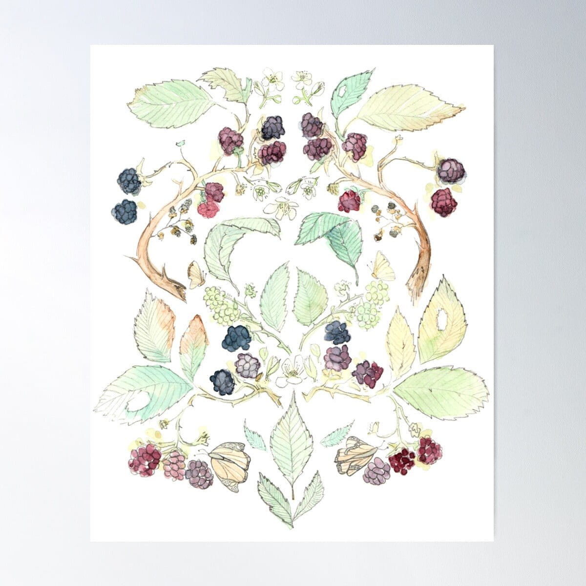 Blackberry Bramble Poster Wall Art, Modern Wall Decor For Living Room ...