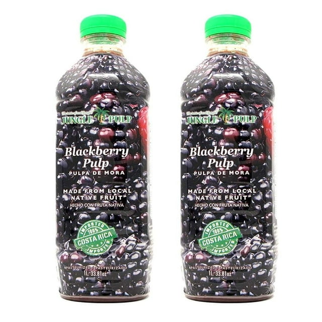 Blackberry Pulp Puree Mix | Pasteurized Fruit | Made in Costa Rica ...