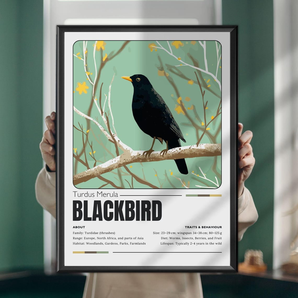Blackbird Poster, Dark Songbird Wall Art, Unframed Paper Poster 11x14in ...