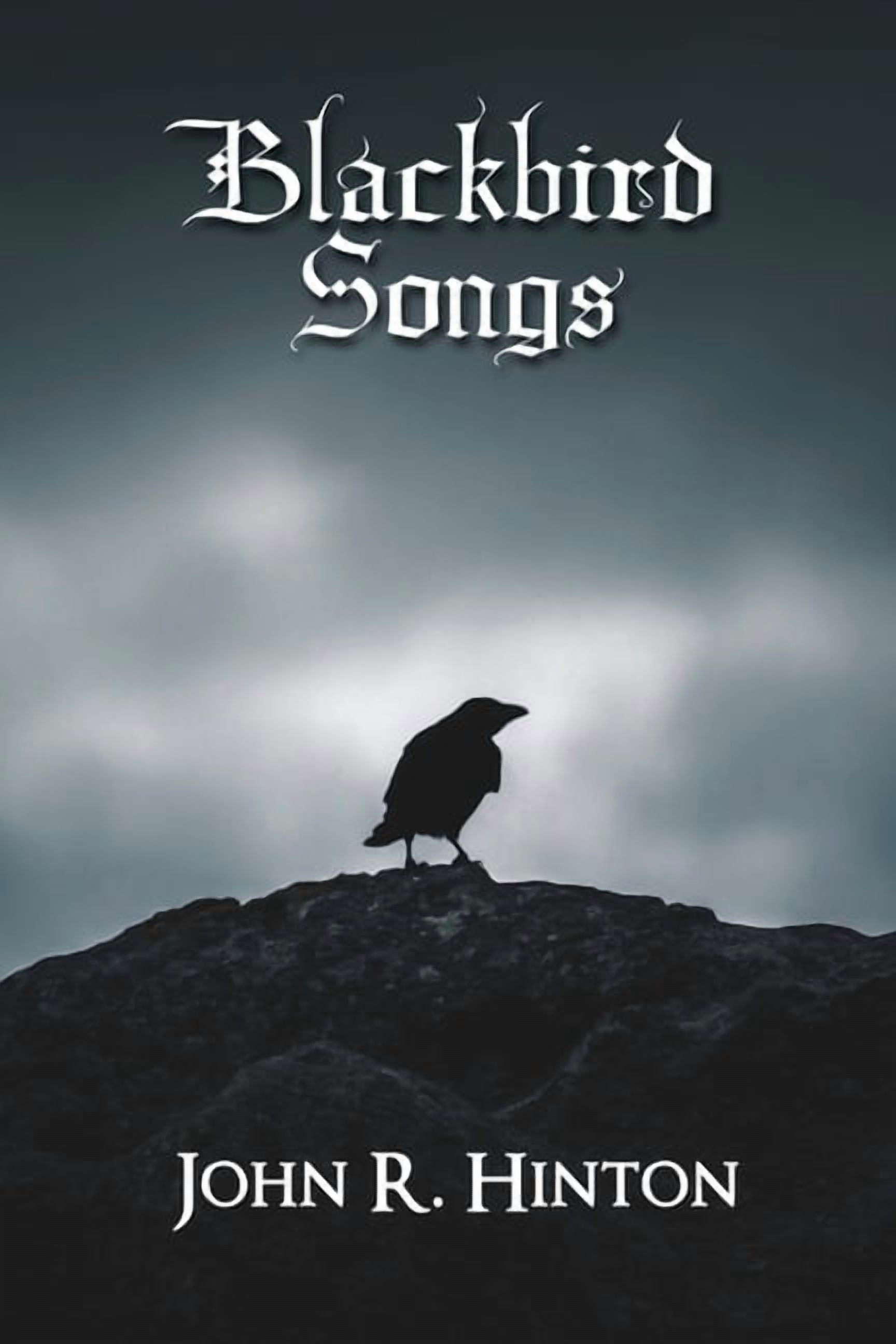 Blackbird Songs (Paperback) by John R Hinton - Walmart.com
