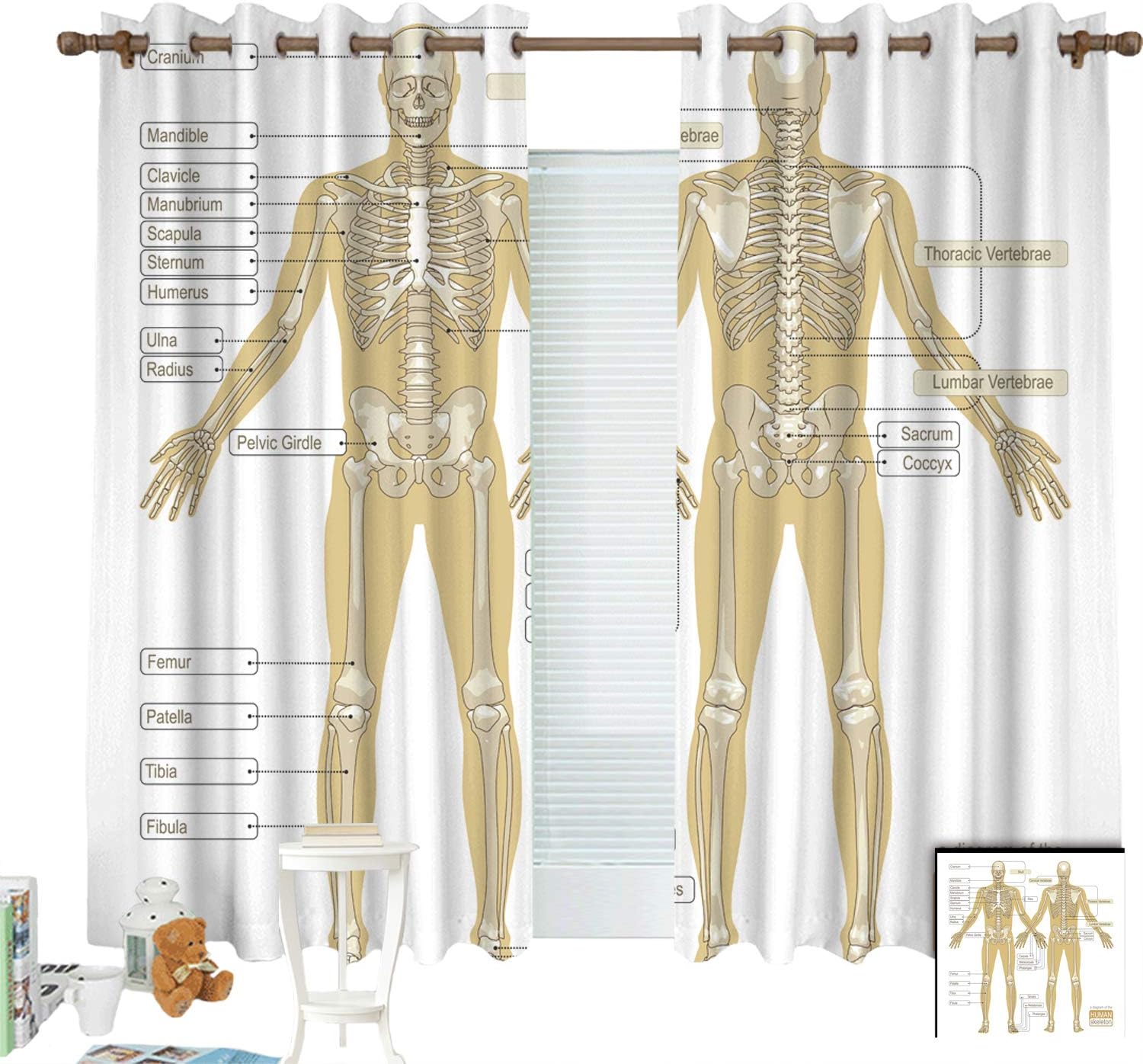 Blackout Curtains - Set of 2 Panels(A Diagram of The Human Skeleton ...
