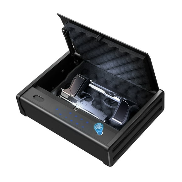 Lock Box For Handguns