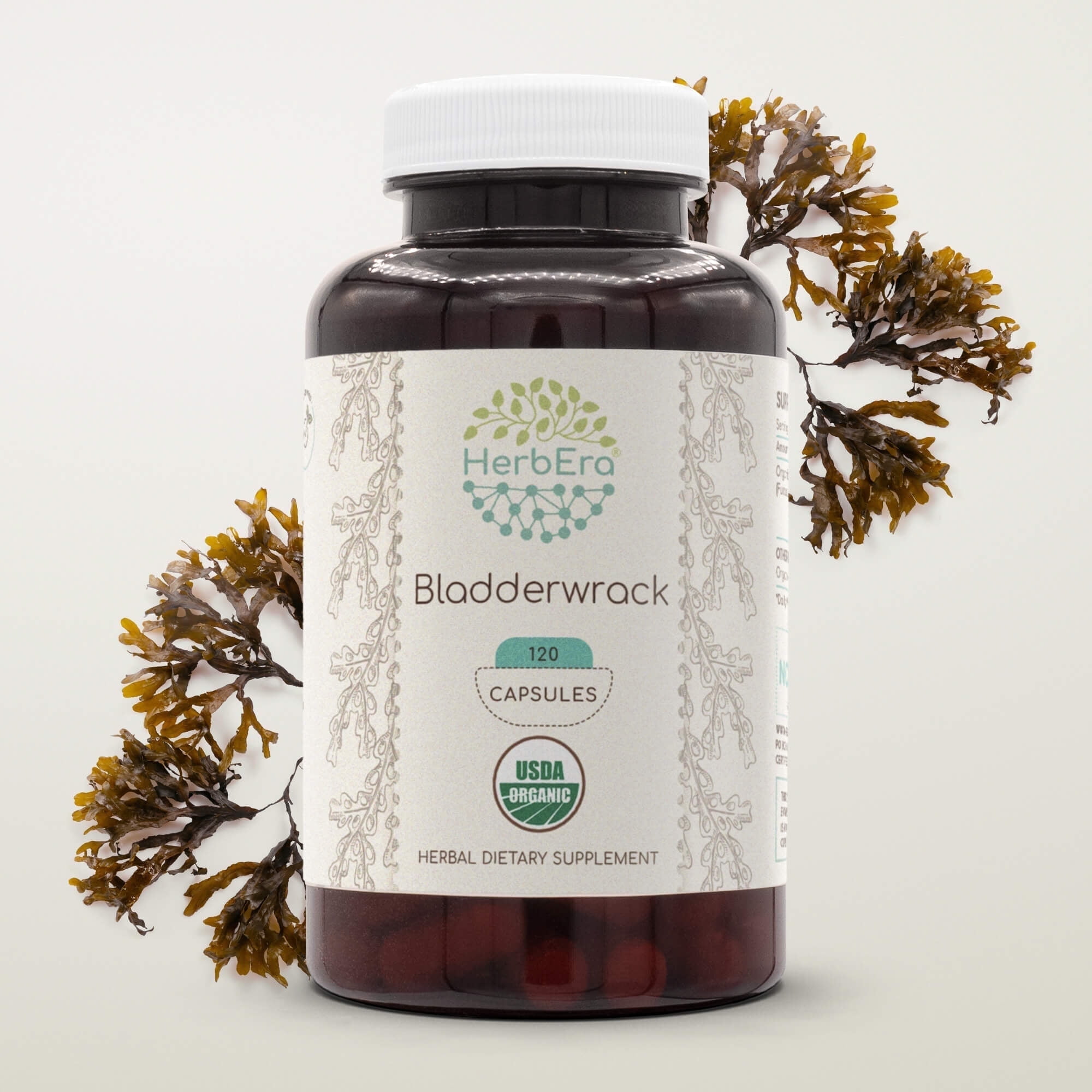 HerbEra Bladderwrack Capsules, Organic Herbal Dietary Supplement for ...