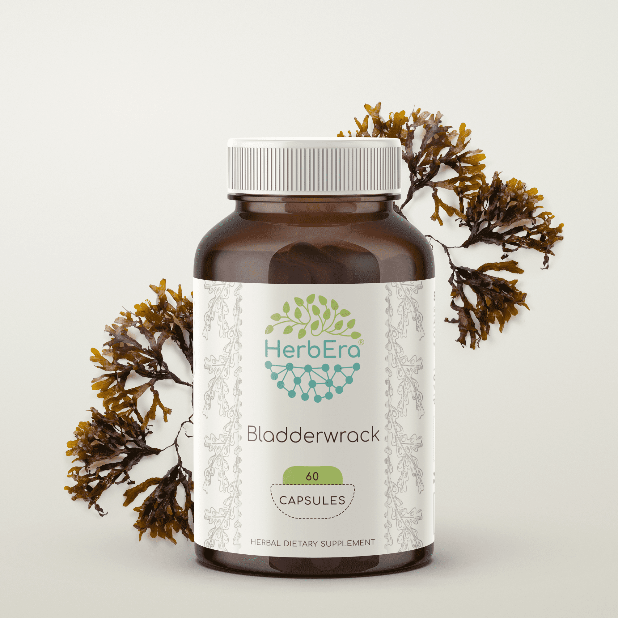 Bladderwrack 60 Capsules, 500 mg, Organic Bladderwrack (Fucus ...