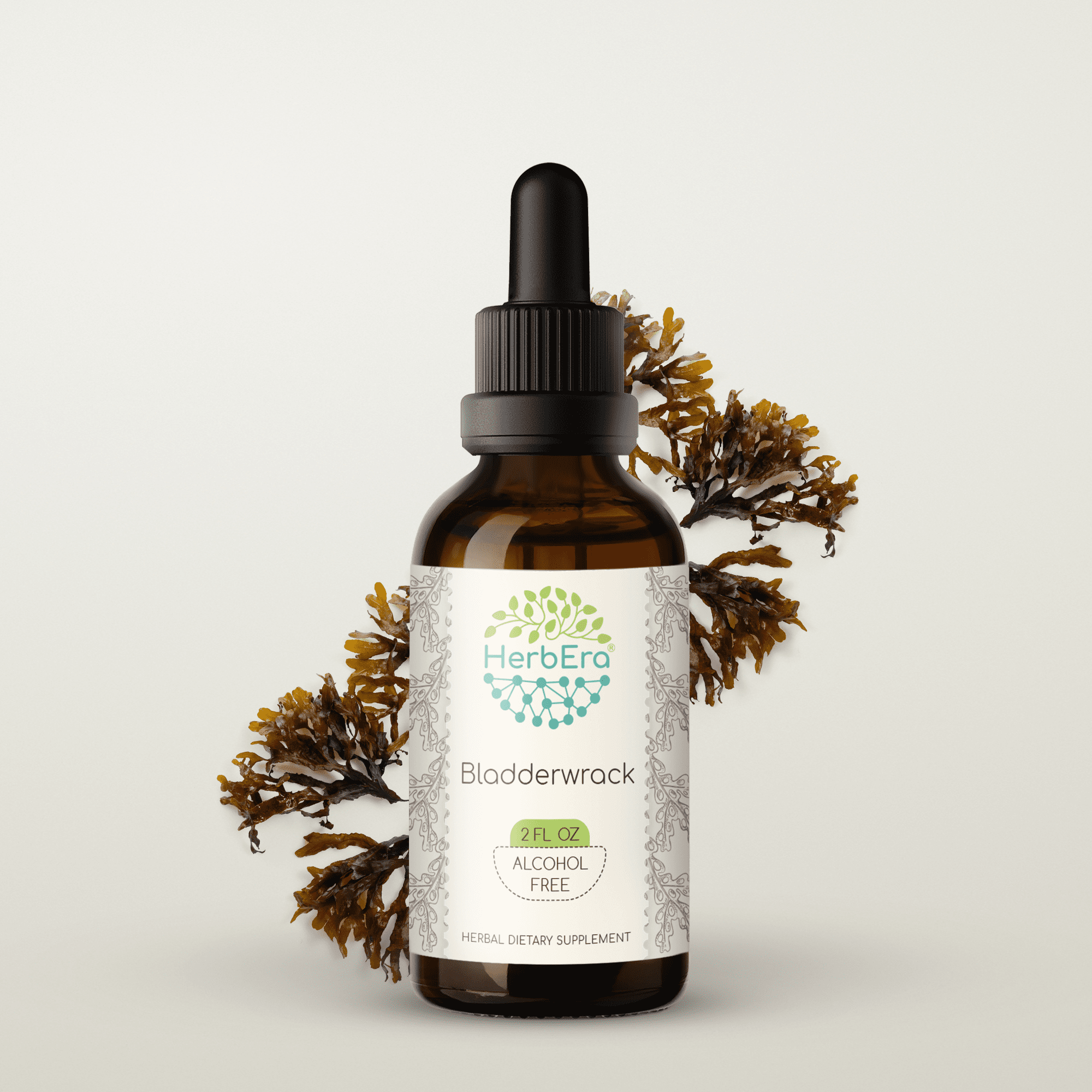 Bladderwrack Alcohol-FREE Herbal Extract Tincture, Super-Concentrated ...