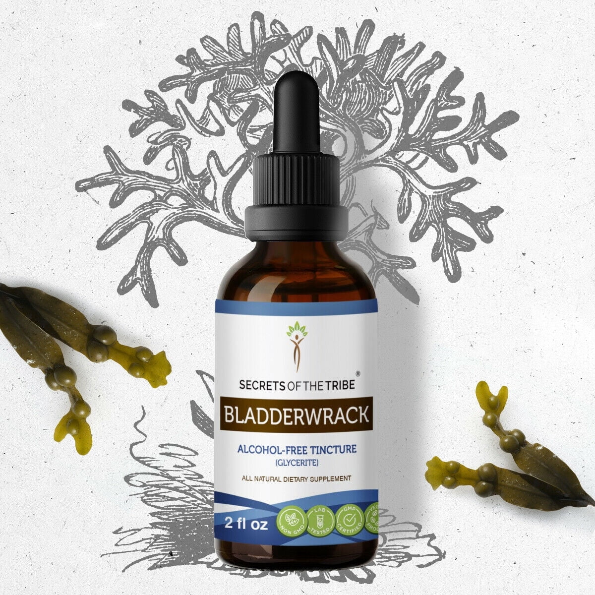 Secrets Of The Tribe Bladderwrack Tincture Dietary Supplement, Natural ...