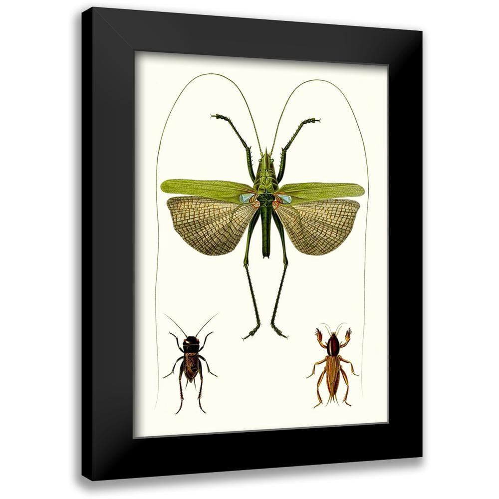 Blanchard 11x14 Black Modern Framed Museum Art Print Titled ...
